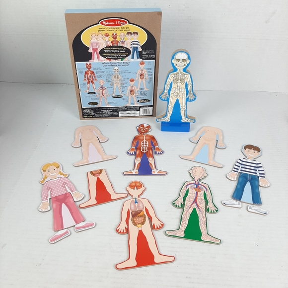 Melissa & Doug | Toys | Melissa Doug Magnetic Human Body Anatomy Play ...